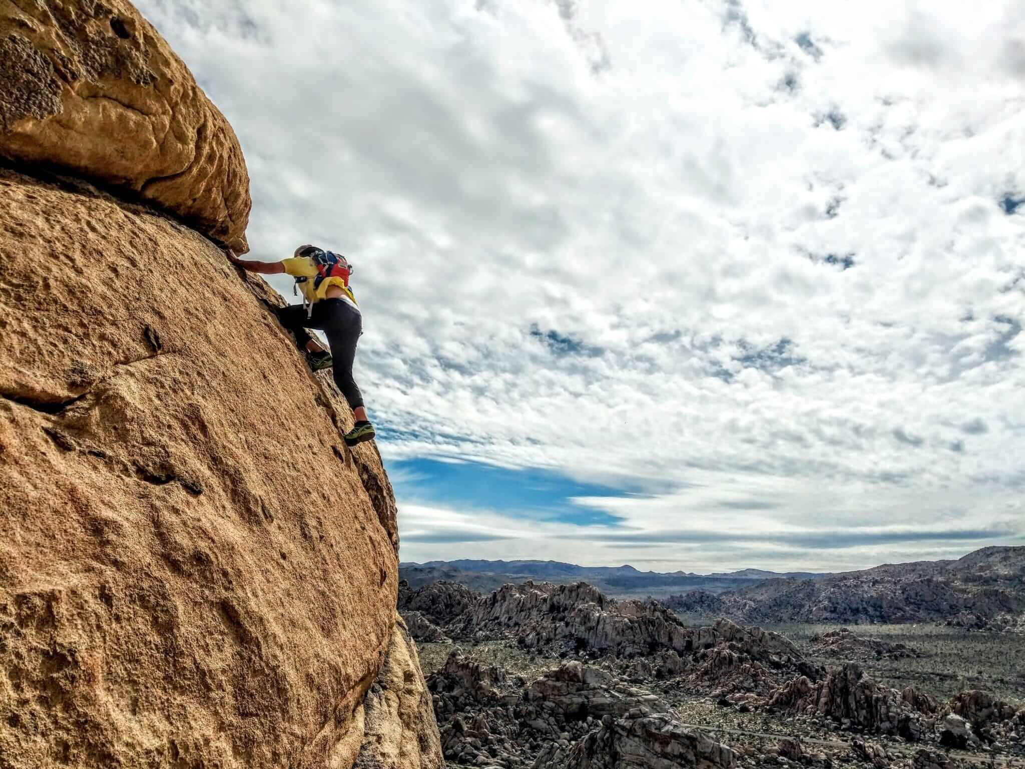 10 Incredible Things You Must See In Joshua Tree National Park