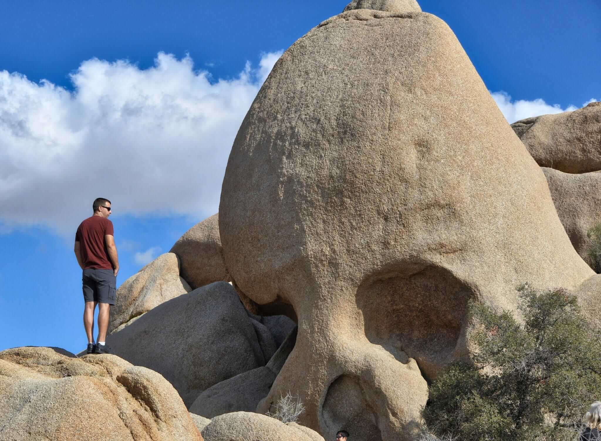 10 Incredible Things You Must See In Joshua Tree National Park