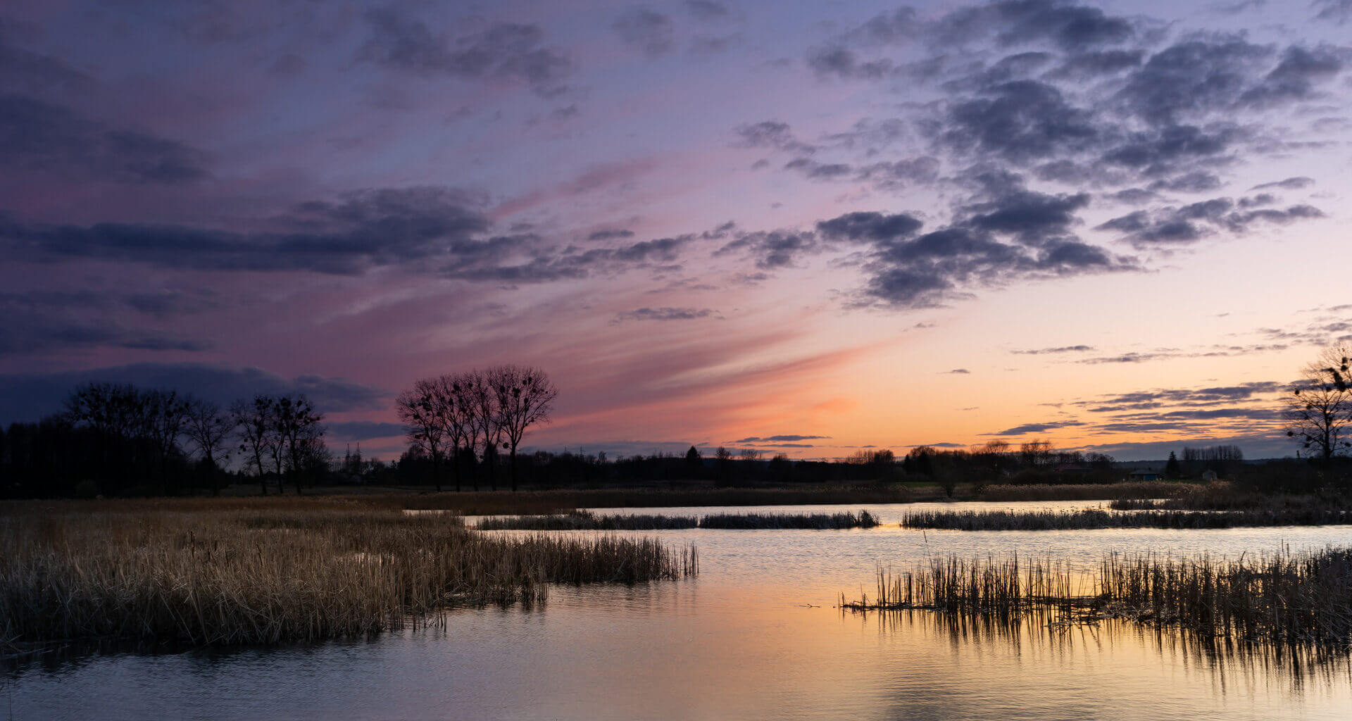 Everything You Need to Know About Lake Somerville Camping