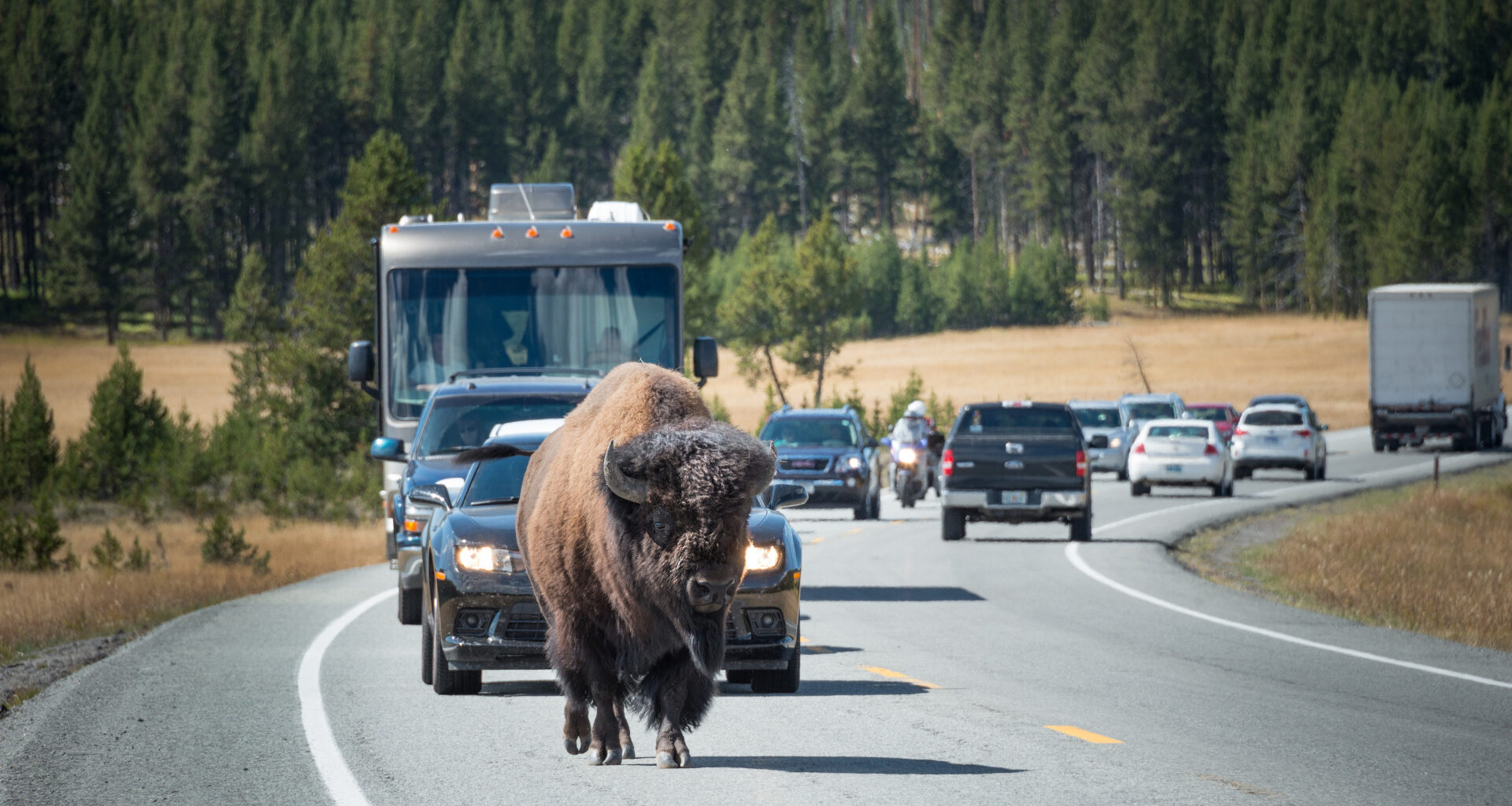 How to Plan an RV Trip to Yellowstone - Getaway Couple