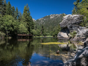 Idyllwild Camping: What They Don’t Tell You - Getaway Couple
