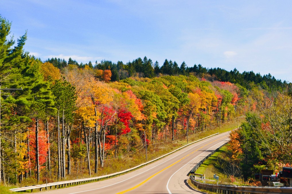 Don't Waste Your Time in White Mountain National Forest - Getaway Couple