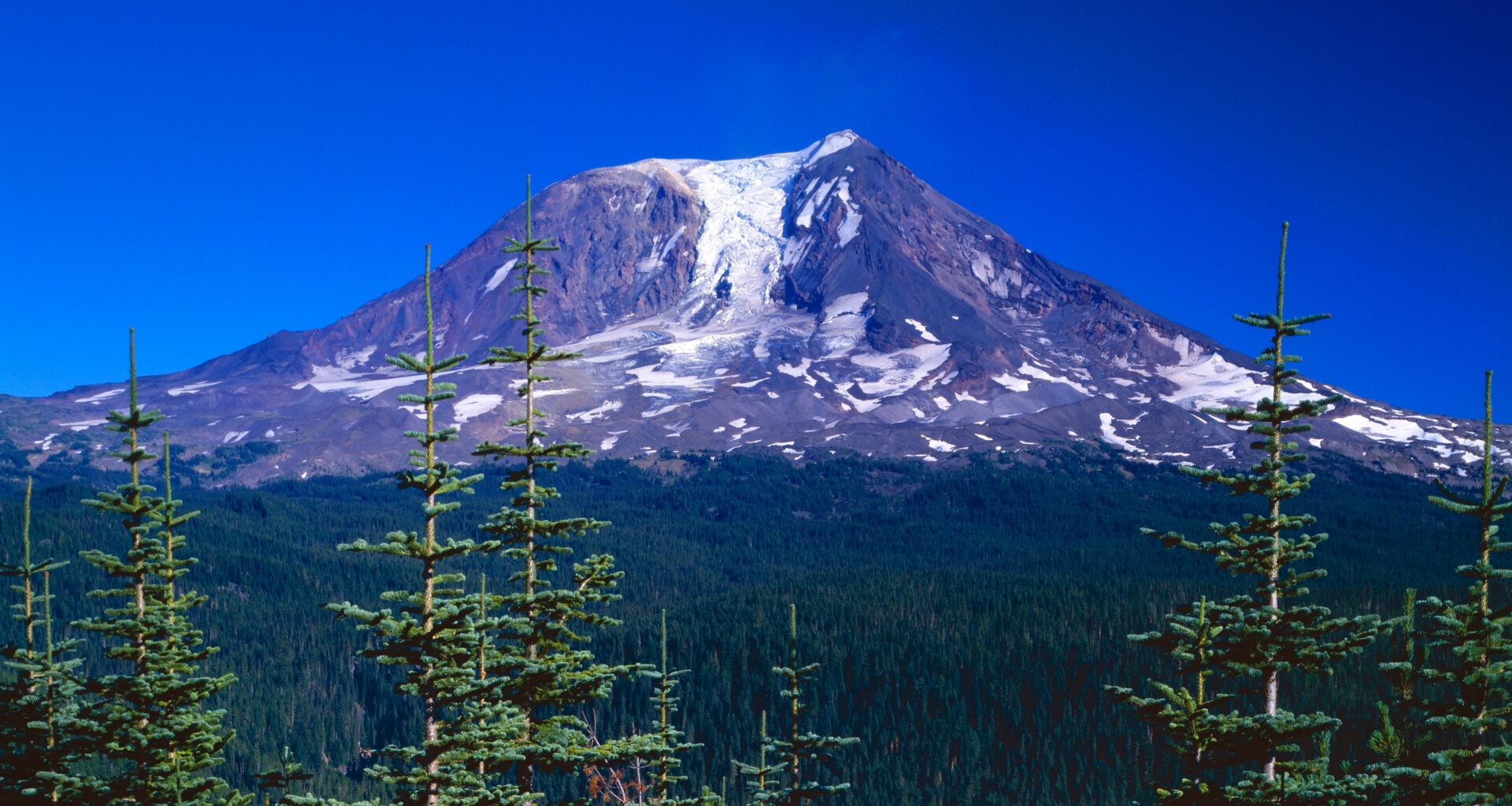 These National Forests Are Better Than Most National Parks