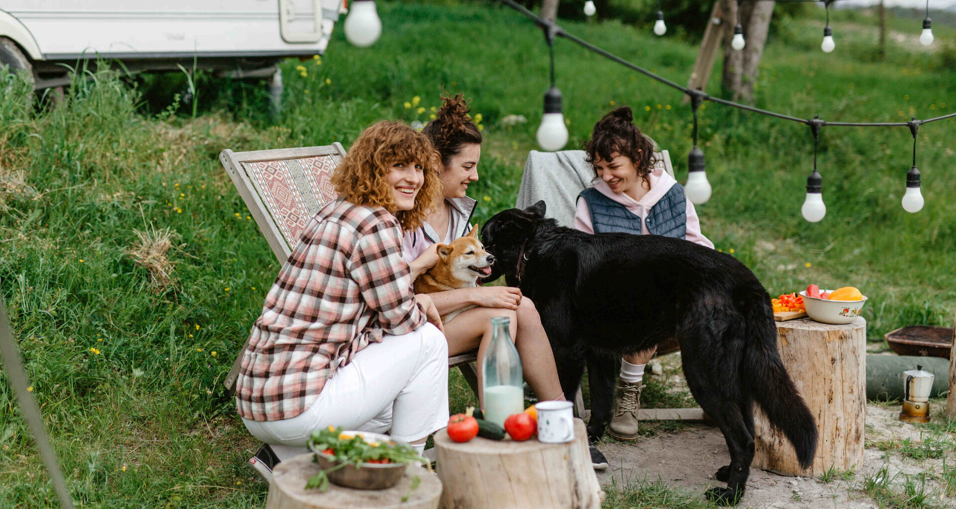 Insider Tips for Successfully Camping with Dogs - Getaway Couple