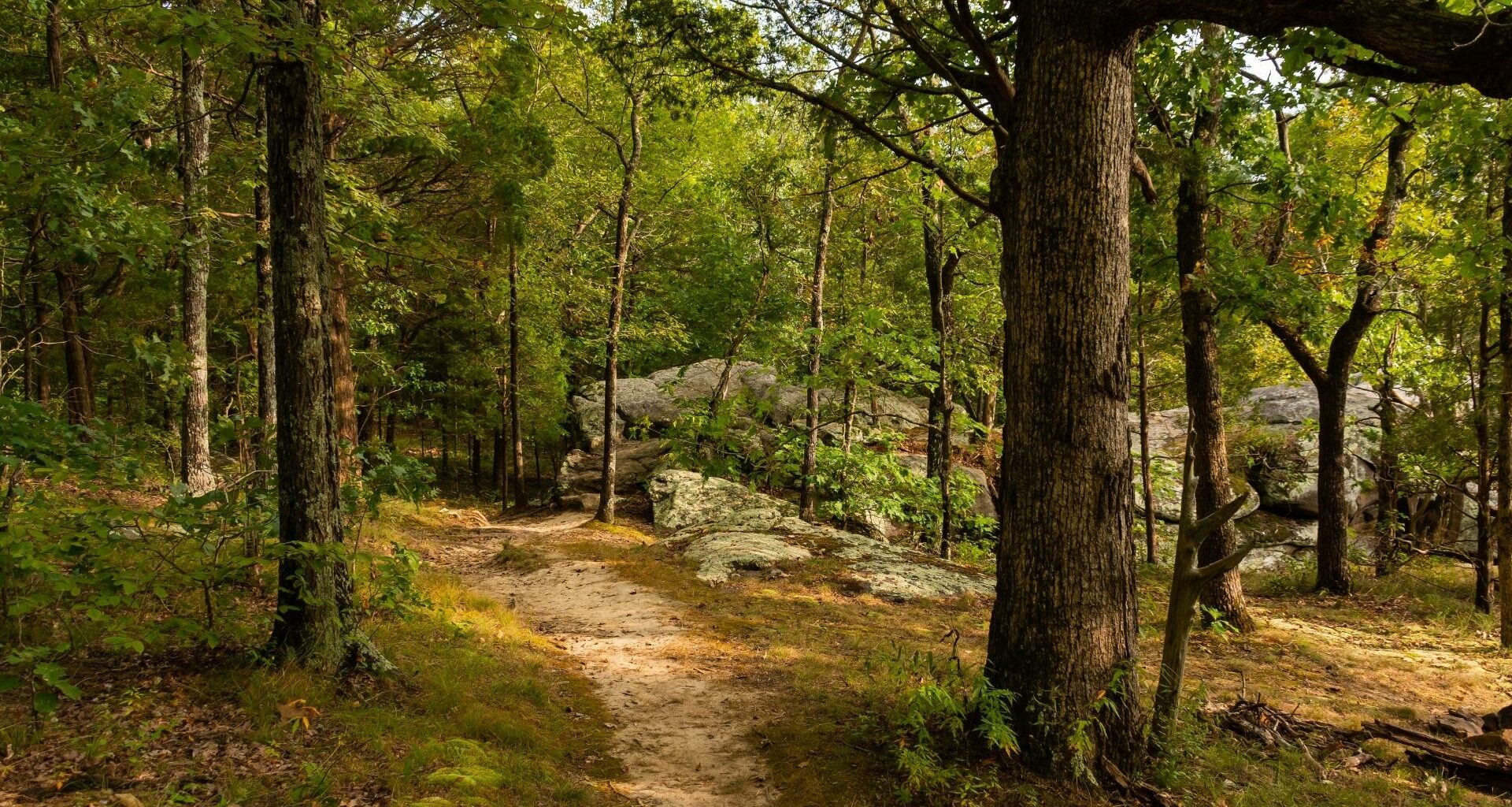 Your Guide to Hiking in Eugene Oregon - Getaway Couple