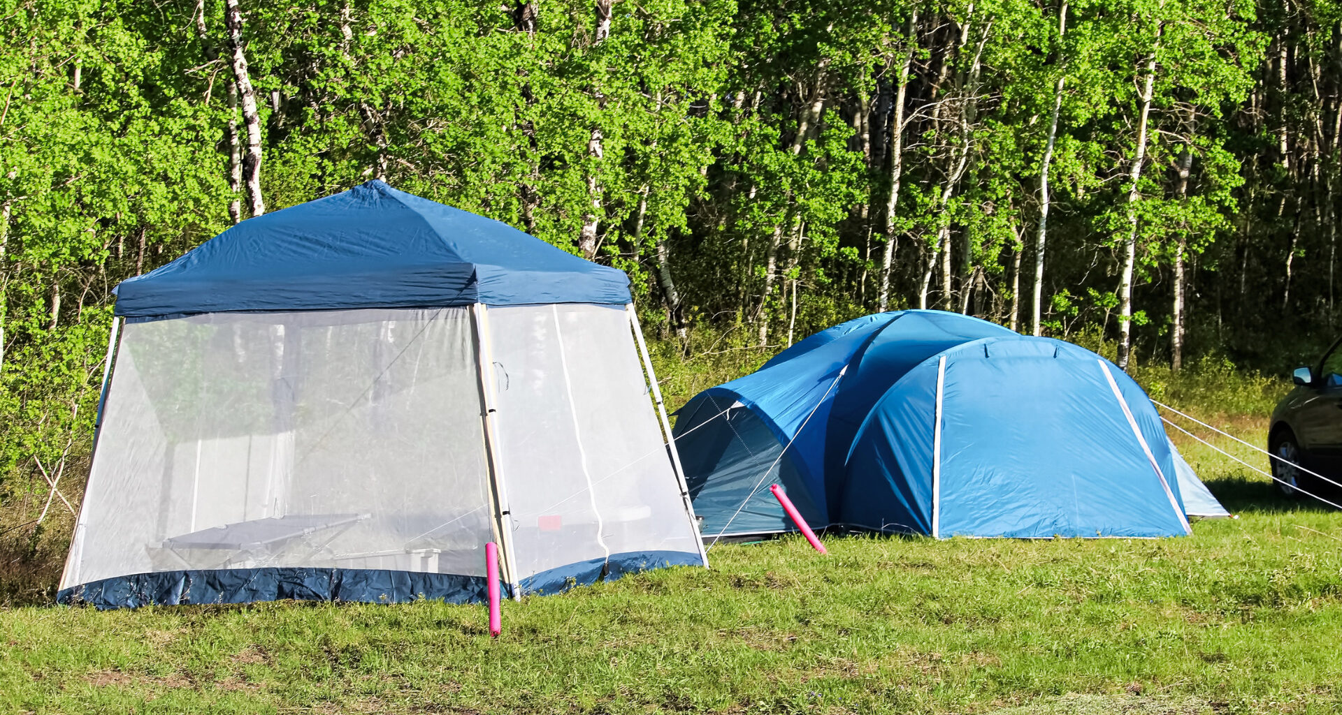 The Best Bug Nets to Keep the Bugs Out for Good - Getaway Couple