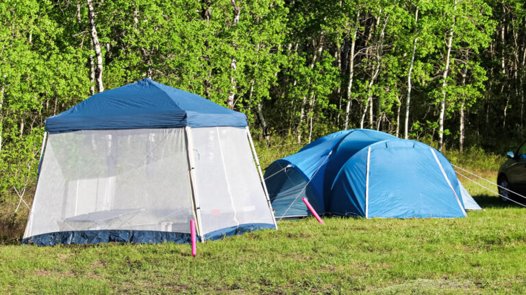 The Best Bug Nets to Keep the Bugs Out for Good - Getaway Couple