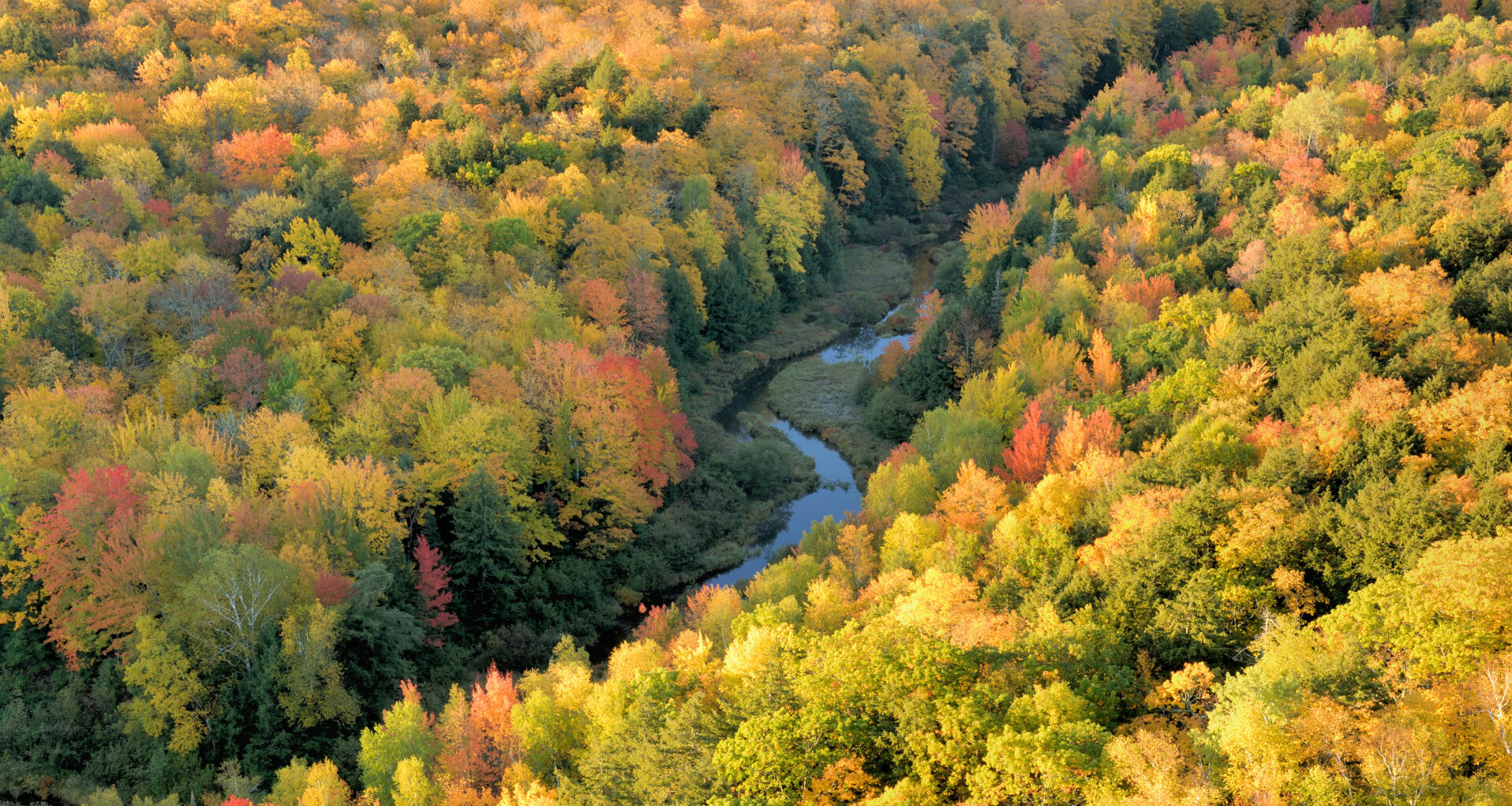 The Best Campgrounds for Fall Camping in Michigan
