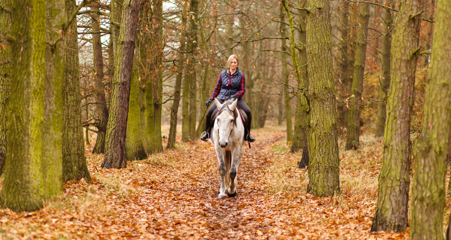 The Best Campgrounds for Fall Camping in Michigan