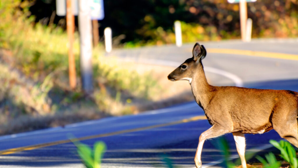 Why RVers Need to Understand Road Grade - Getaway Couple