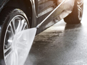 Get Prepared for Florida Love Bug Season - Getaway Couple