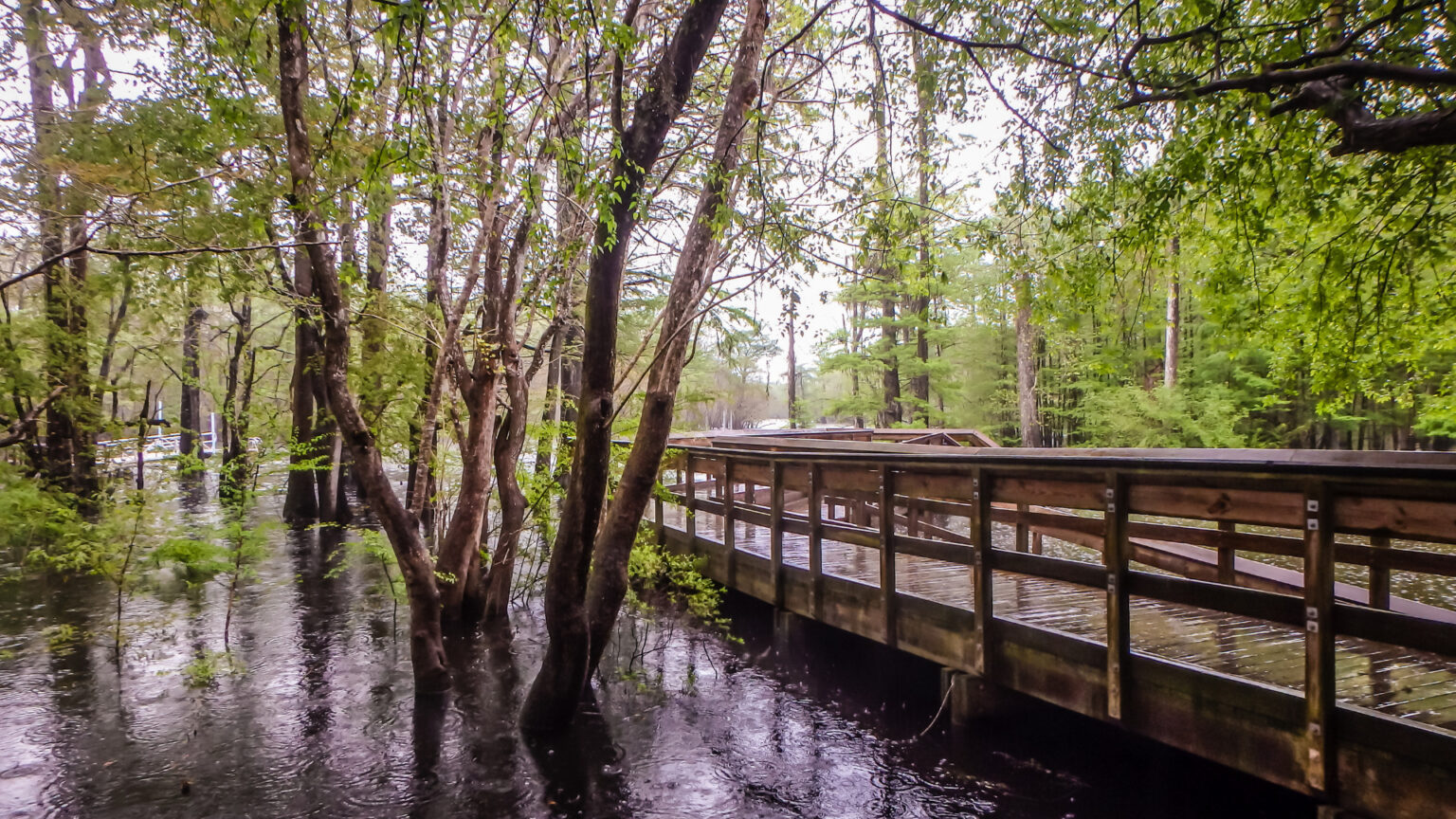 How to Plan a Perfect Day at Morrison Springs - Getaway Couple