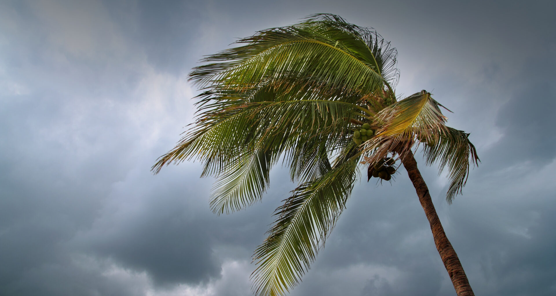 Understanding the Different Hurricane Levels - Getaway Couple