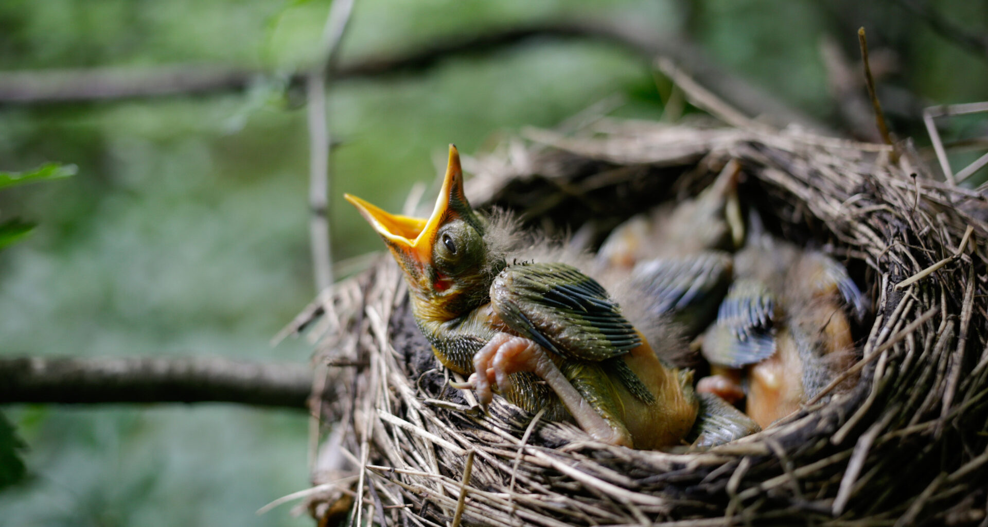 What's Really on the Backside of Mt. Rushmore? - Getaway Couple