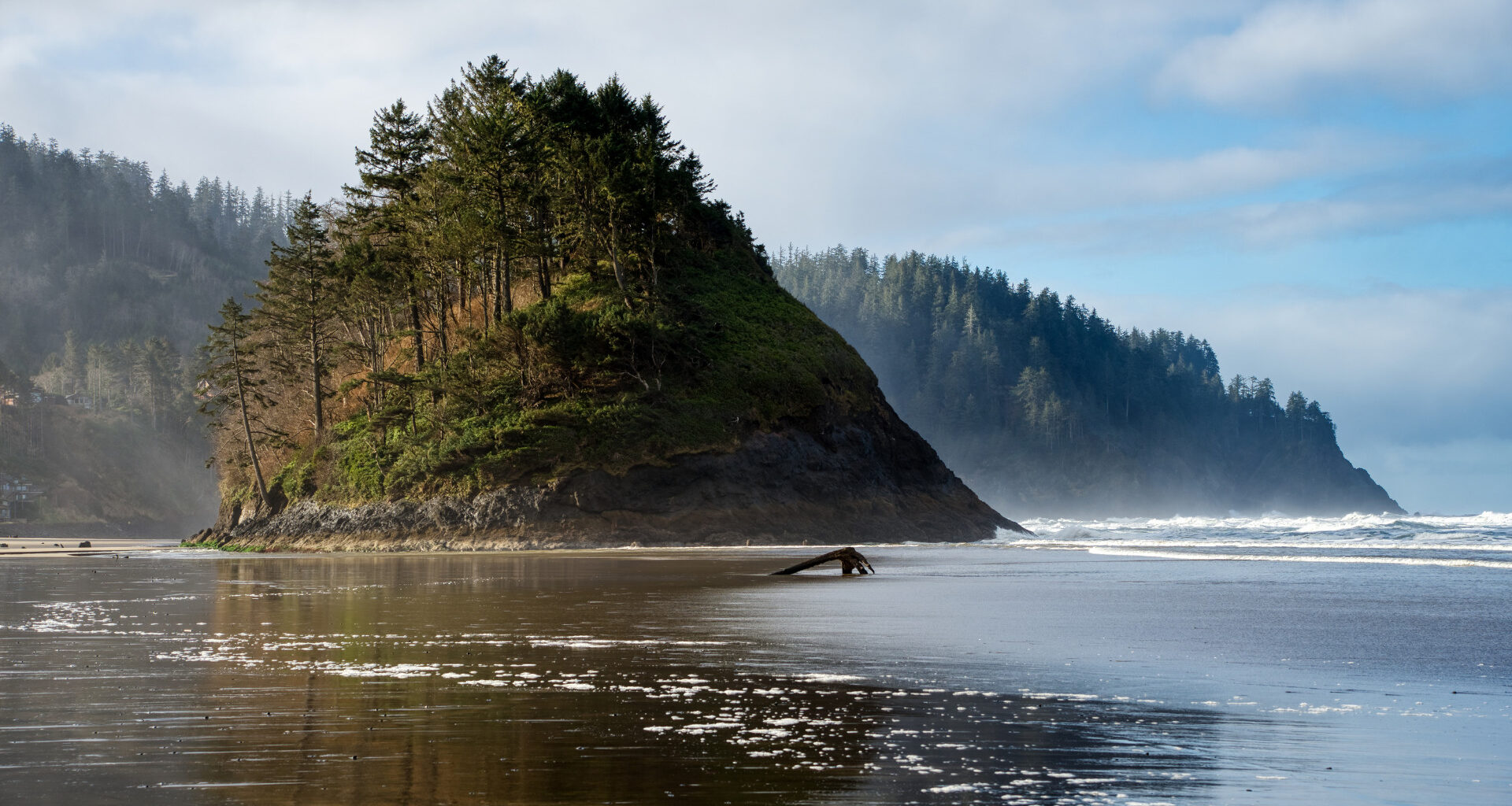The Neskowin Ghost Forest Isn't as Scary as It Sounds - Getaway Couple