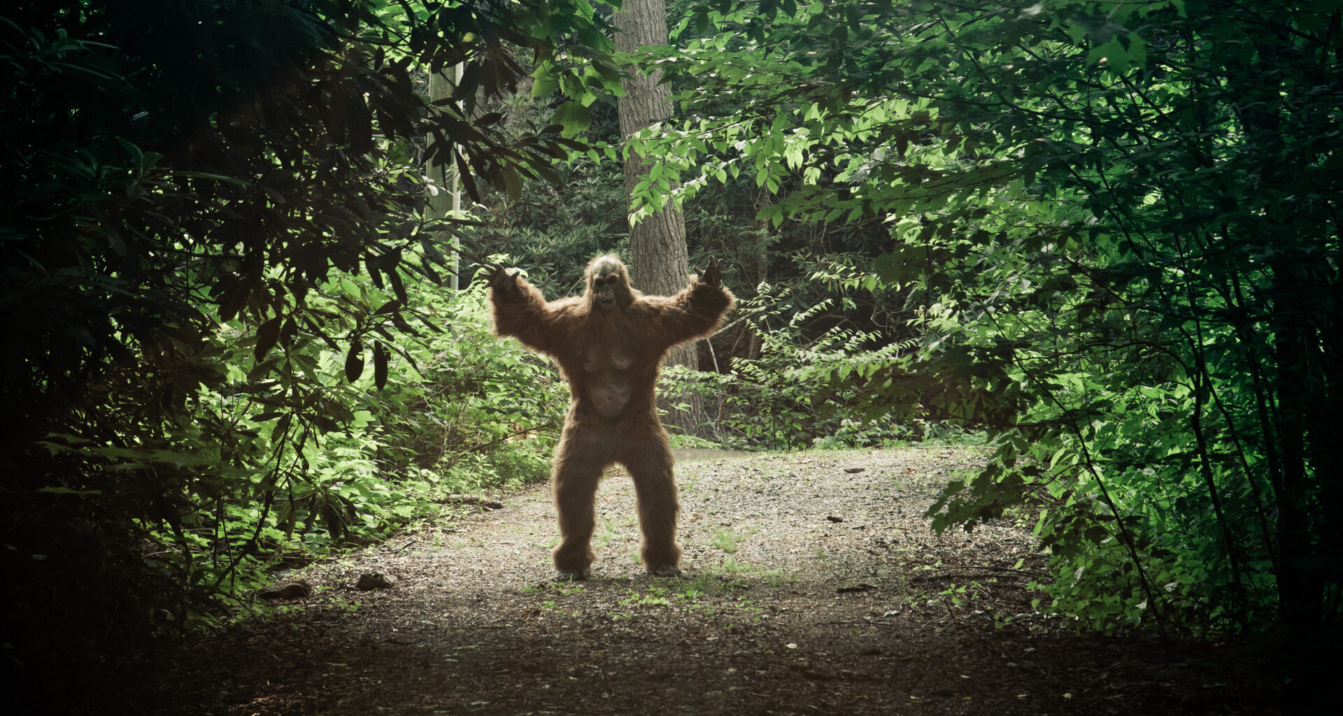 Skunk Ape: A History of Florida's Bigfoot - Getaway Couple