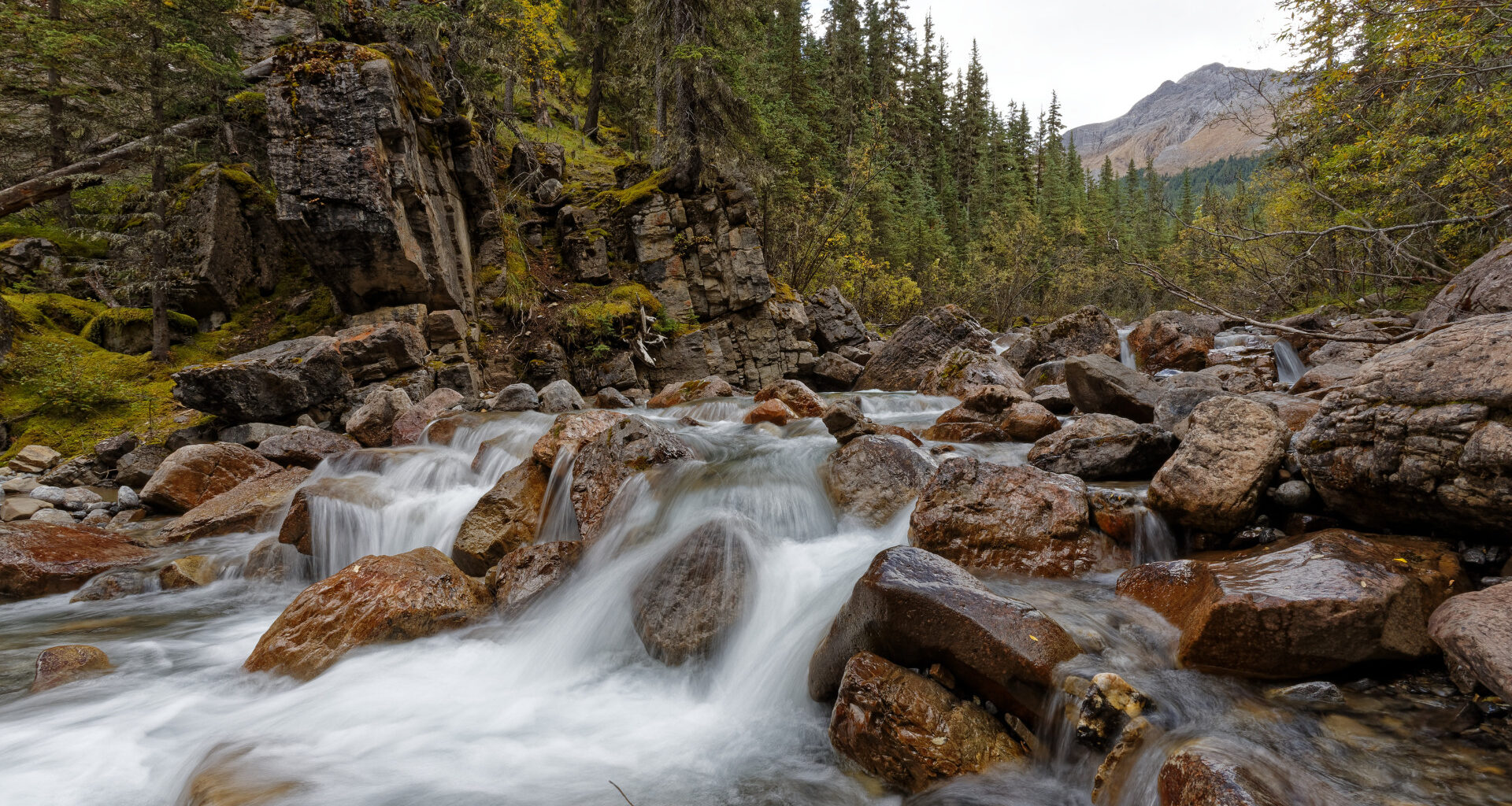 The Best Things to Do in Jasper for First-Time Visitors - Getaway Couple