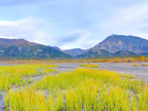 The Highway to Alaska: Everything You Need to Know - Getaway Couple