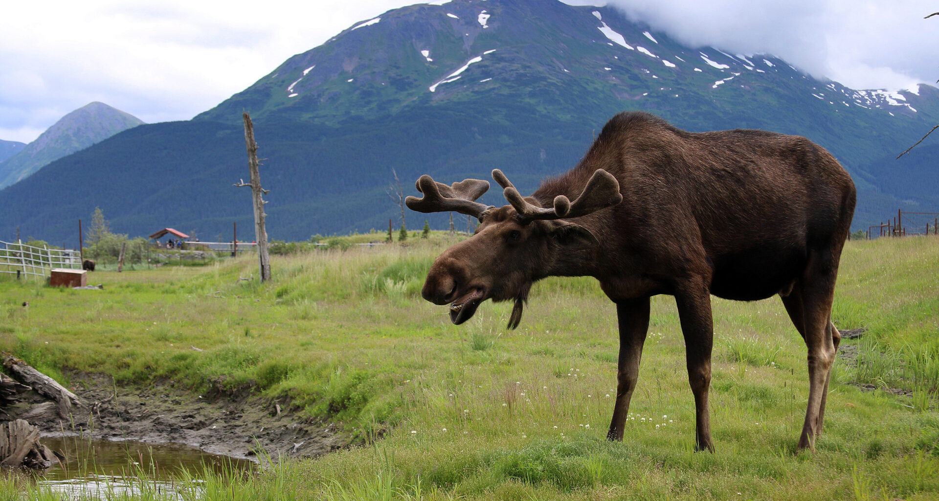 Don't Miss the Turnagain Arm Drive When in Alaska - Getaway Couple