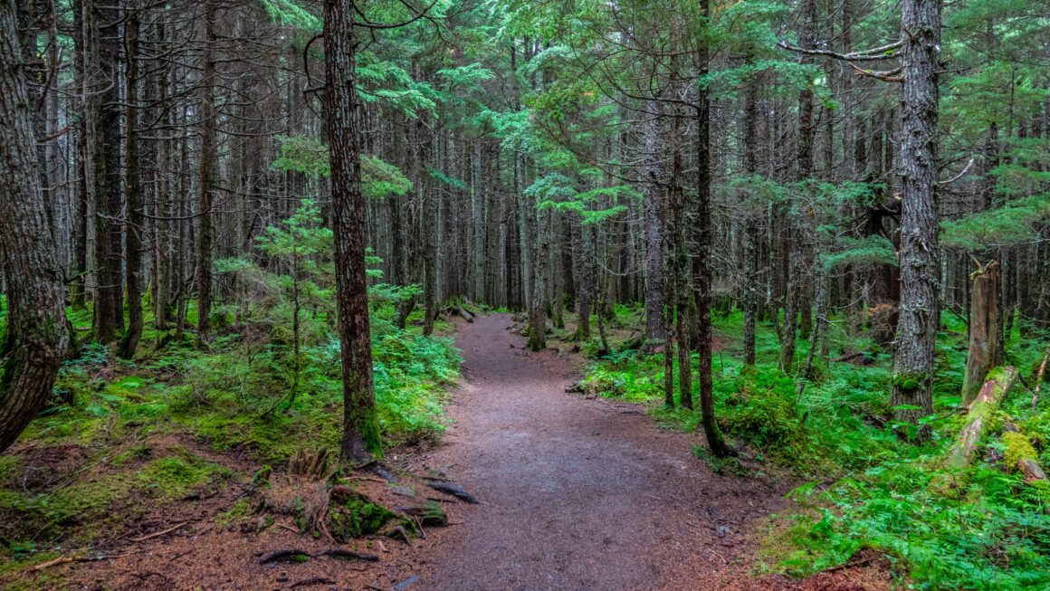 Don't Miss the Turnagain Arm Drive When in Alaska - Getaway Couple