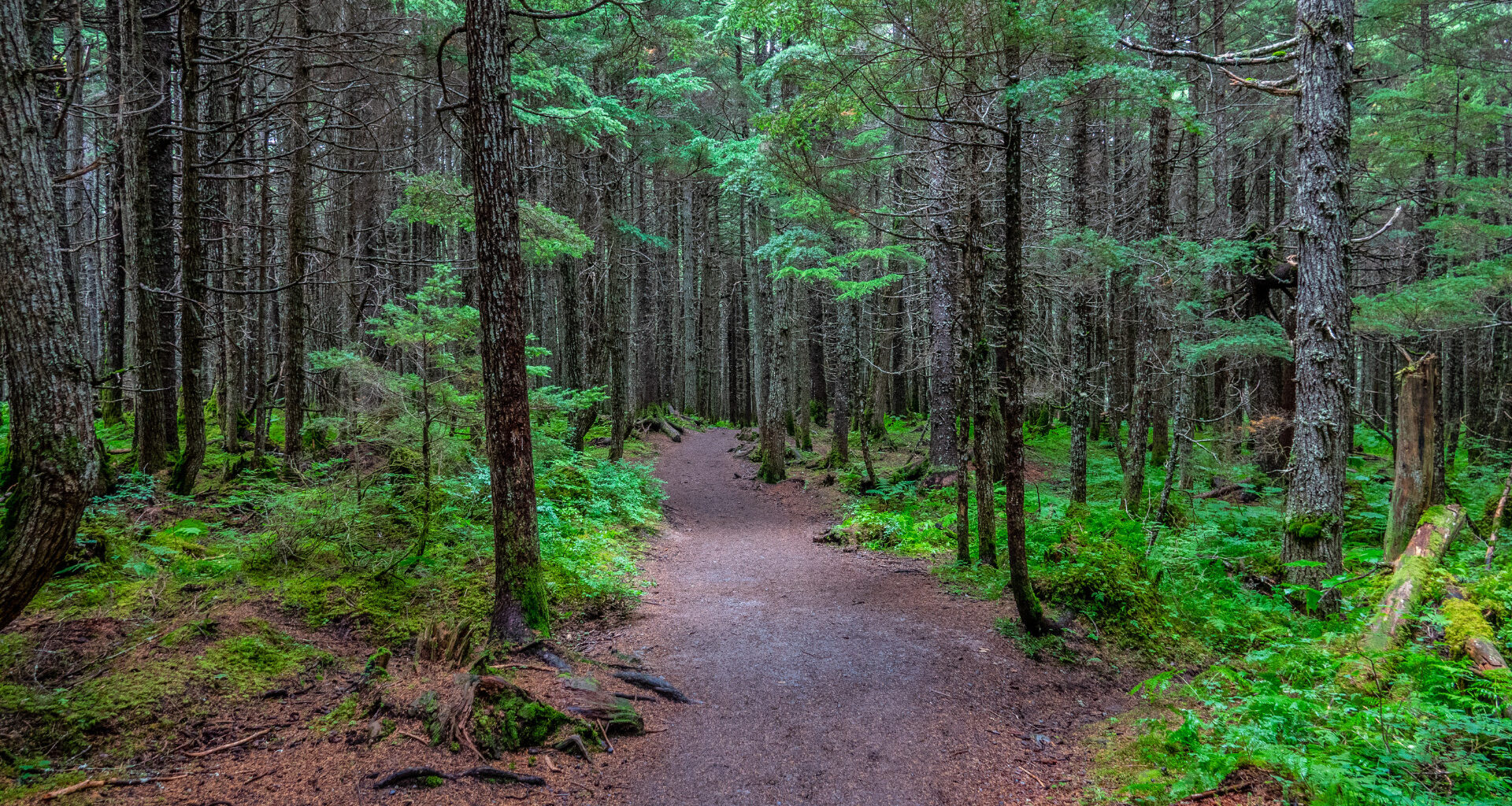Don't Miss the Turnagain Arm Drive When in Alaska - Getaway Couple
