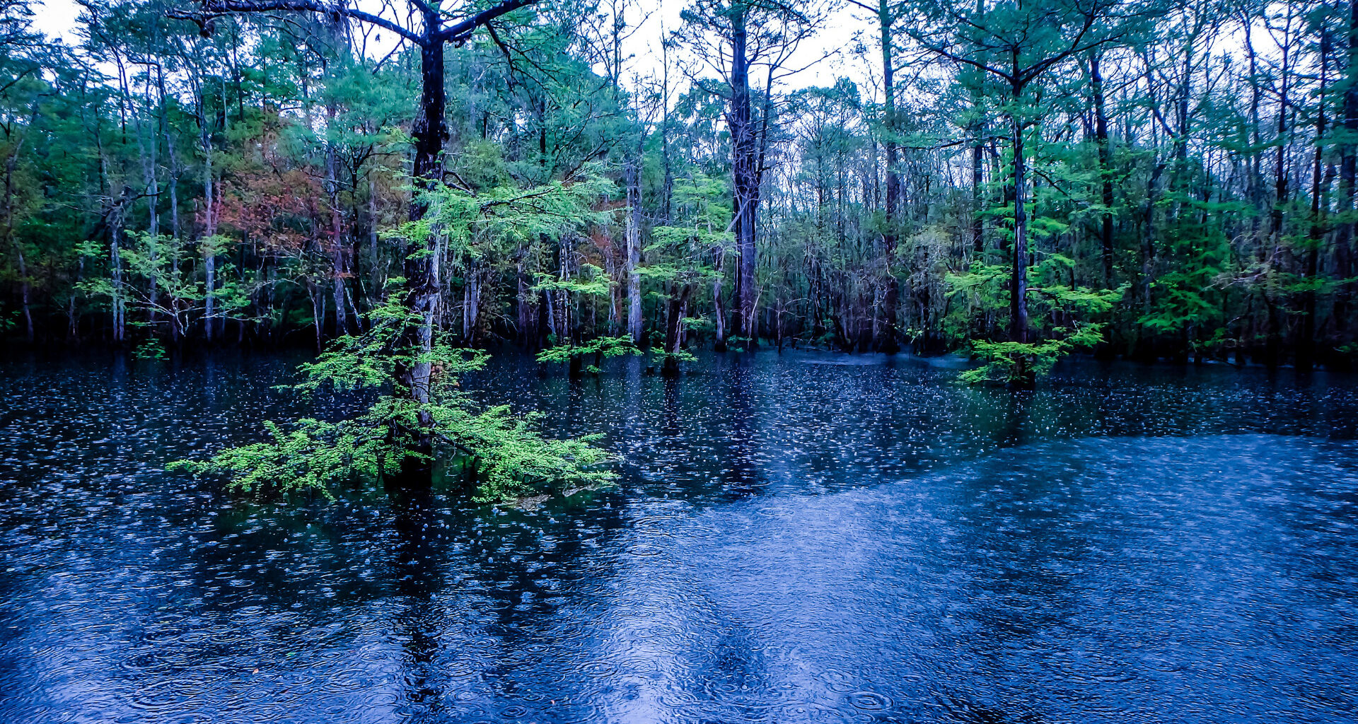 Stunning Caves in Florida You Have to See - Getaway Couple