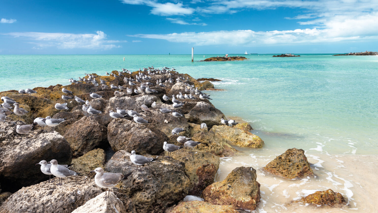 Historic Forts in Florida to Add to Your List - Getaway Couple