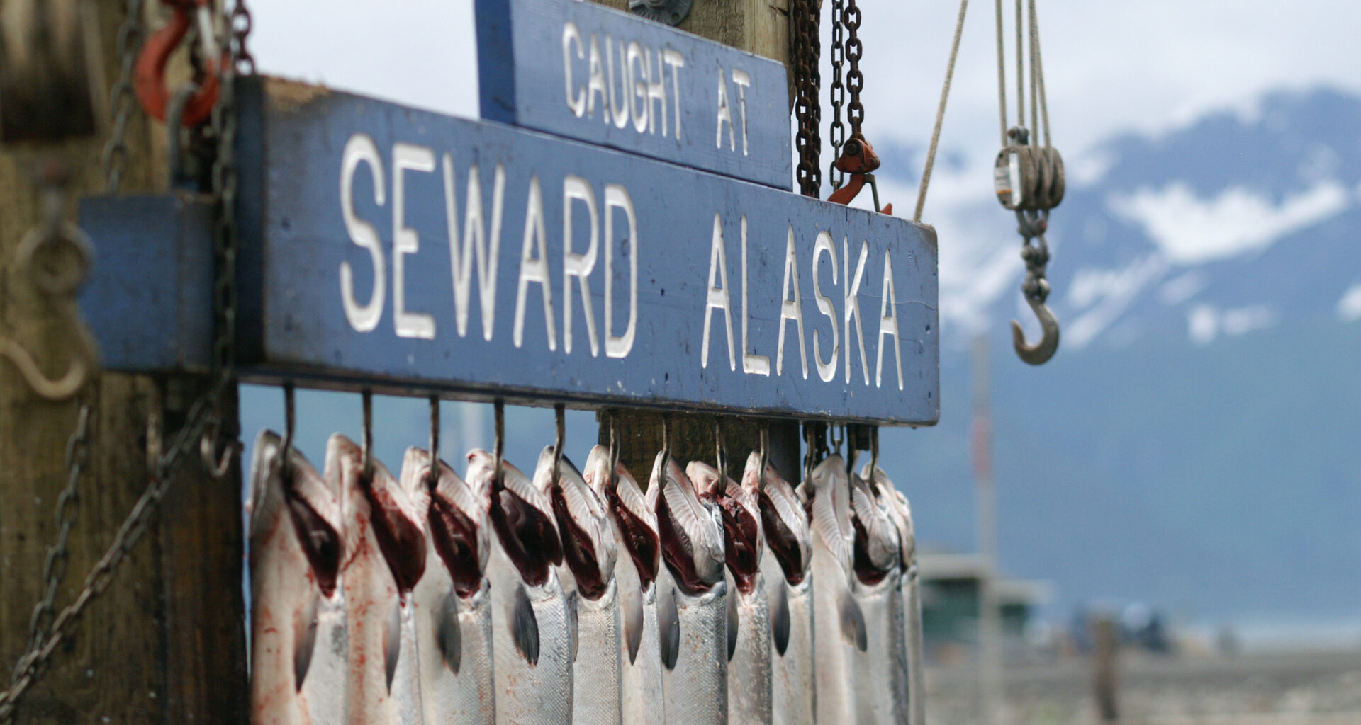 What Fishing License Do You Need to Fish in Alaska? - Getaway Couple
