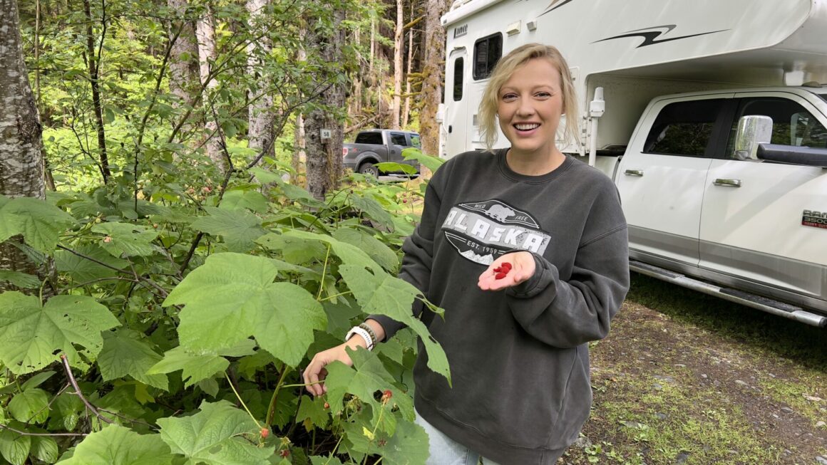 You Can Eat These Alaska Wild Berries - Getaway Couple