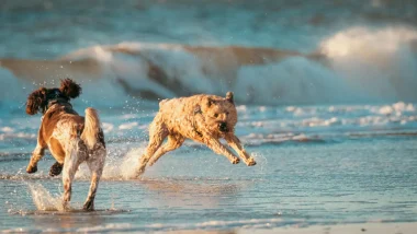 Shade RV: A Hot Weather RVing Must-Have - Getaway Couple